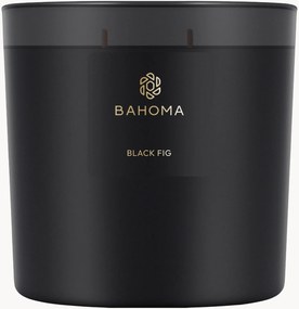 Vonná svíčka Black Fig (fík, anýz, zelené listy)