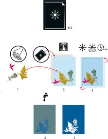 Kyanotypie - sada fotocitlivého papíru