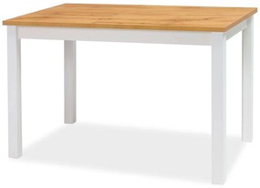 Stůl Adam 100x60 dub wotan / bílý mat Signal