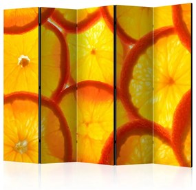 Paraván Orange slices Dekorhome 225x172 cm (5-dílný)