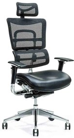 Ergonomické křeslo Ergo 800, mesh, kůže, černá barva