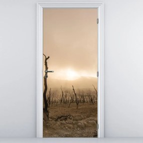 Fototapeta na dveře - Holé stromy (95x205cm)