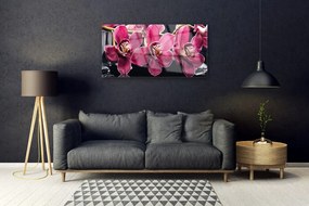 Obraz na skle Květiny Orchideje  Výhonky Příroda 125x50 cm