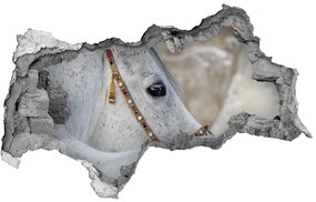 Wallmuralia Díra 3D fototapeta nálepka Bílý arabský kůň 95x73 cm