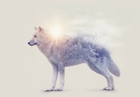 Fototapeta - Arktický vlk zrcadlící divokou krajinu (245x170 cm)