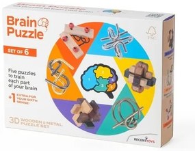Hlavolam recent toys brain puzzle - sada 6 kusů