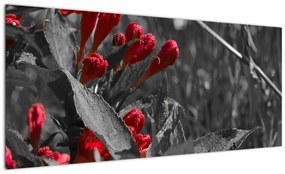 Červené květy - moderní obrazy (100x40cm)