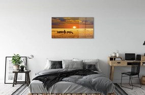akrylový obraz Zebra západ mraky 100x50 cm