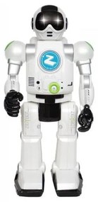 Made Robot Zigybot s funkcí času, 20 funkcí