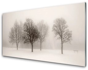 Obraz na skle Sníh Stromy Krajina 100x50 cm