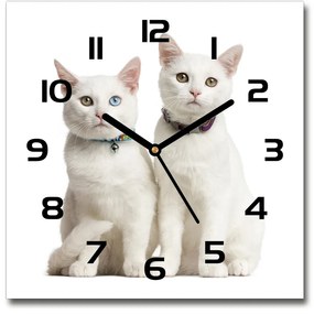 Wallmuralia Skleněné hodiny čtverec Bílé kočky 30x30 cm