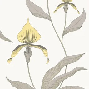 Tapeta ORCHID 10057, kolekce CONTEMPORARY RESTYLED