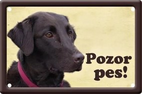 Plechová psí cedule, Flat coated retriever, Pozor pes