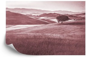 Fototapeta Rolling Hills Vybledlé Vintage V Červené Barvě Hladký vinyl 152.5x104