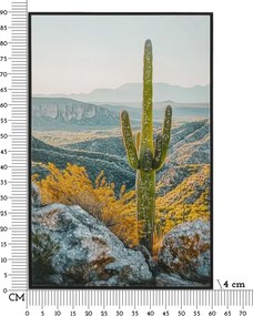 Obraz Cactus B 60x90 cm vícebarevný