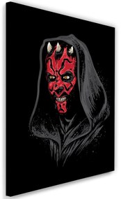 Gario Obraz na plátně Star Wars, Darth Maul - Dr.Monekers Rozměry: 40 x 60 cm