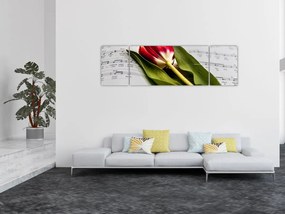 Obraz červeného tulipánu (170x50 cm)