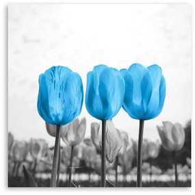 Gario Obraz na plátně Modré tulipány Rozměry: 30 x 30 cm