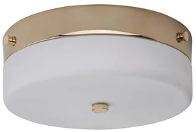 Elstead TAMAR-F-M-PG-LED Koupelnové stropní svítidlo TAMAR 1xGX53/5,7W/230V IP44