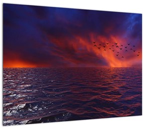Skleněný obraz moře s ptáky (70x50 cm)