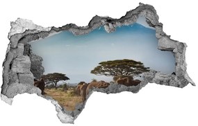 Wallmuralia Díra 3D fototapeta Sloni Kilimandžáro 95x73 cm