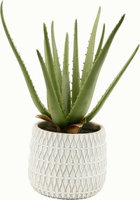 XXXLutz UMĚLÁ ROSTLINA 35 cm - Umělé rostliny - 006860006401