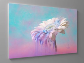 Liox Růžovomodrý obraz gerbera Rozměr: 120 x 80 cm