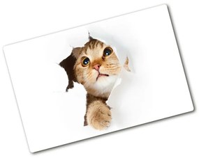 Wallmuralia Kuchyňská deska skleněná Kočka v díře 80x52 cm