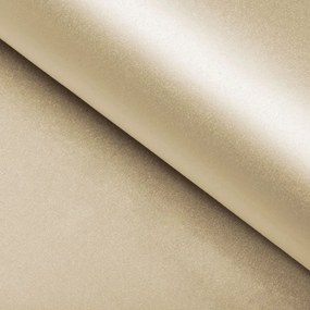 Biante Saténový povlak na polštář LUX-054 Latte 50 x 70 cm