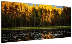 Obraz - podzimní krajina (100x40cm)