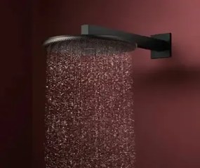 Hansgrohe - Hlavová sprcha, průměr 30 cm, EcoSmart, matná černá