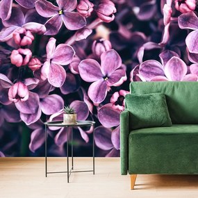 Samolepící fototapeta fialové květy šeříku - 450x300 cm