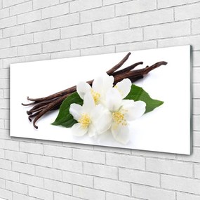 Plexisklo-obraz Tyčinka Vanilky do Kuchyně 125x50 cm