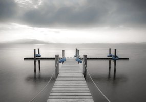 Postershop Fototapeta: Dřevěná lávka do moře (černobílá) - 184x254 cm