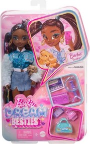 Panenka Barbie Dream Besties Mattel HYC22 Brooklyn