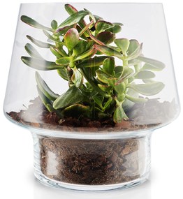 EVA SOLO Skleněná váza na sukulenty 21 cm