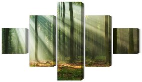 Vícedílný obraz Lesní Krajina V Dopoledních Hodinách Nedostatek Nedostatek Přírodní plátno 250x150