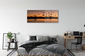 akrylový obraz Létající ptáky sunset 120x60 cm