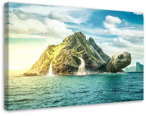 Gario Obraz na plátně Želví ostrov - Alex Griffith Rozměry: 60 x 40 cm