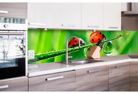 DIMEX | Fototapeta do kuchyně Beruška KI-260-015 | 260 x 60 cm | zelená, červená, černá