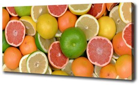 Wallmuralia Foto obraz na plátně Citrusové ovoce 100x50