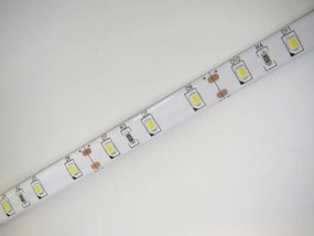 T-LED LED pásek SB3-W300 zalitý Teplá bílá 07704 12V 12W/m IP 50 Počet diod 60