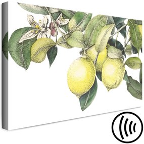 Obraz Citrony a listy - barevný obrázek citrusových plodů na stromě