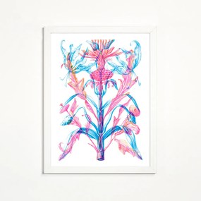 Filip Šenkeřík | Hybrid I – Liliantaurea Centaureum Rám: Černý, Velikost: 40 x 30 cm
