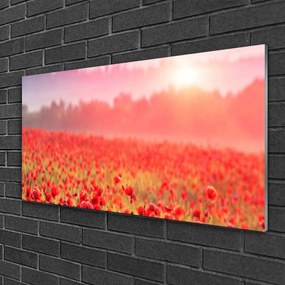 Obraz na skle Louka Květiny Příroda 125x50 cm