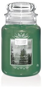 Yankee Candle vonná svíčka Classic ve skle velká Evergreen Mist 623 g