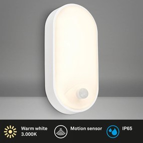 BRILO 3830016 Ruch LED venkovní nástěnné svítidlo, pohybové čidlo, IP65, bílé - BRILO