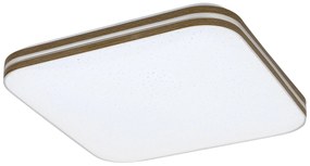 RABALUX Stropní LED svítidlo s funkcí hvězdné oblohy OSCAR, 18W, teplá bílá, 35x35cm, hranaté 003346