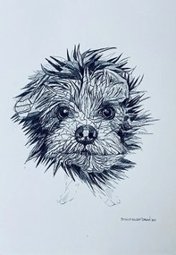 Pet Amour Originální portrét zvířete podle fotografie - Formát A4 Barva: bílé pero