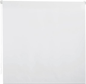 XXXLutz ROLETA, poloprůhledné, 100/160 cm Boxxx - Rolety a žaluzie - 006935020703